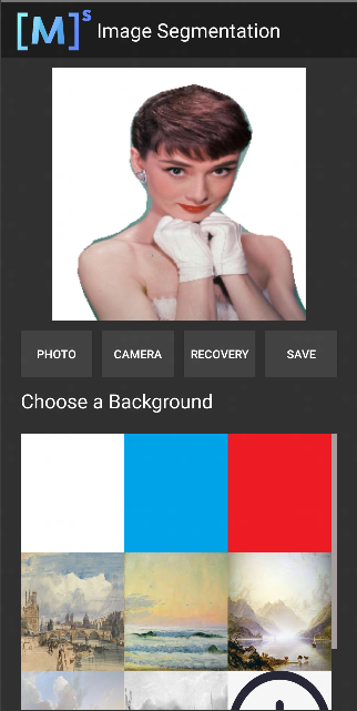 Android Application Development Based On Java Interface MindSpore